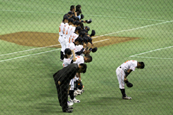 開幕戦まさかの延長サヨナラ（NTT西日本vsJX-ENEOS): ひな恋の趣味雑多