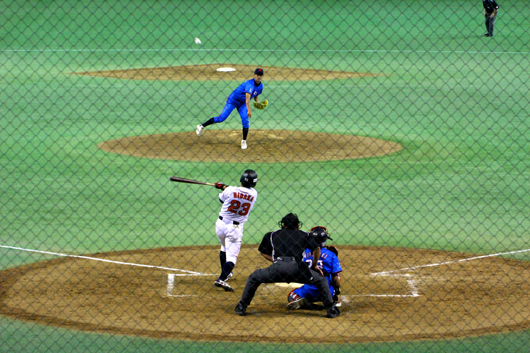 開幕戦まさかの延長サヨナラ（NTT西日本vsJX-ENEOS): ひな恋の趣味雑多