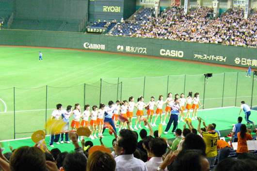 開幕戦まさかの延長サヨナラ（NTT西日本vsJX-ENEOS): ひな恋の趣味雑多